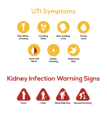 Kidney Infection vs UTI: What's the Difference? - CardiacDirect