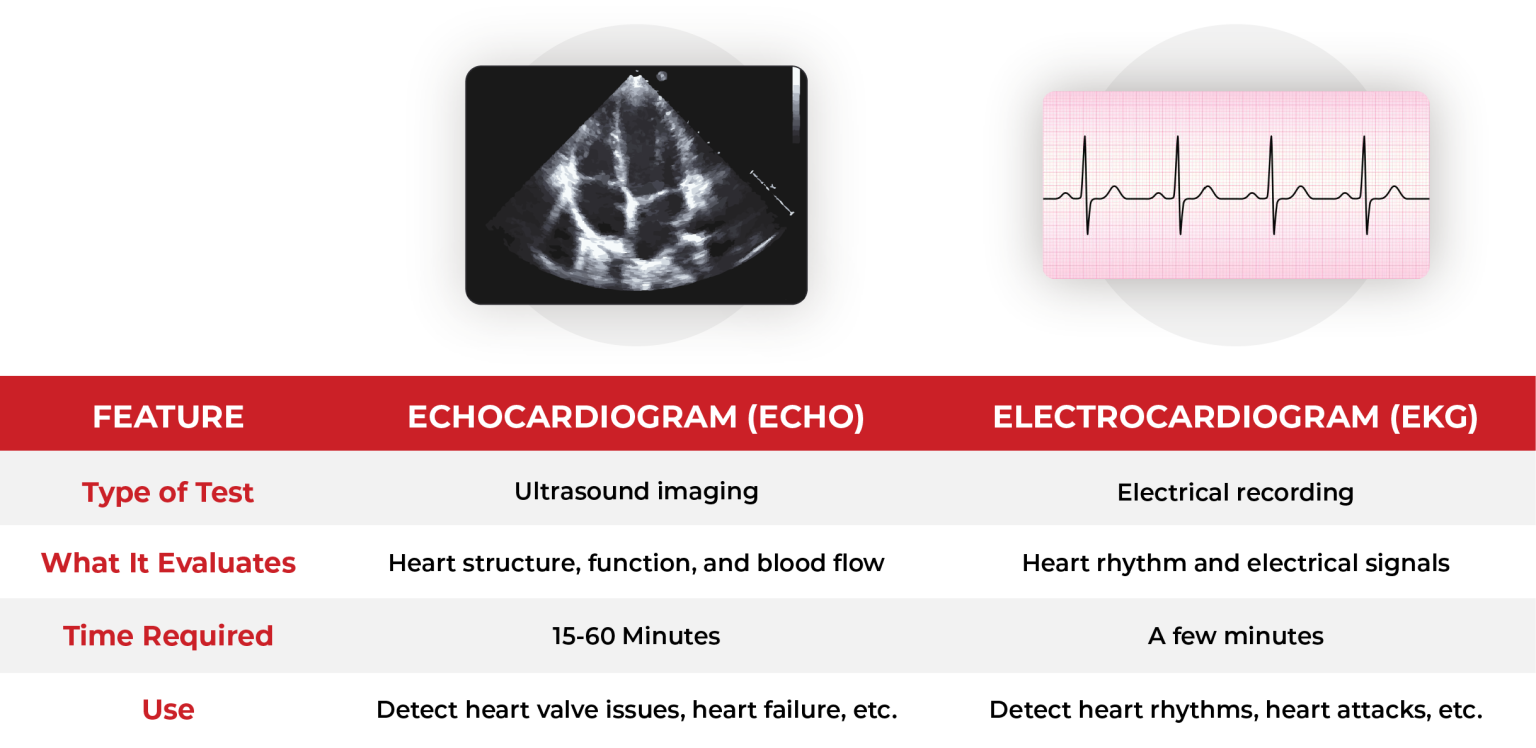 Echocardiogram vs. EKG/ECG: What's the Difference? - CardiacDirect