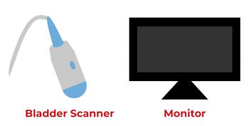 What Is a Bladder Ultrasound Test? - CardiacDirect